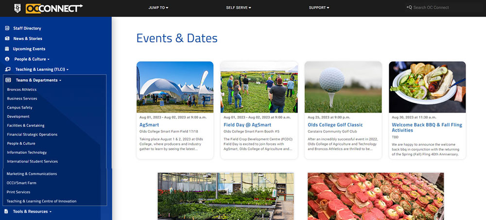 Case Study: OC Connect by Josh Squire